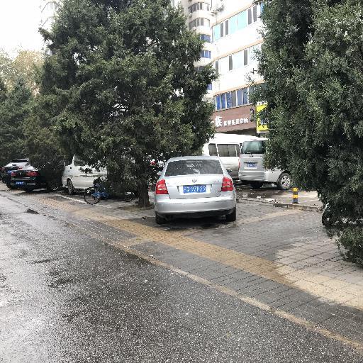 Disabled Instance Segmentation Dataset By Detection