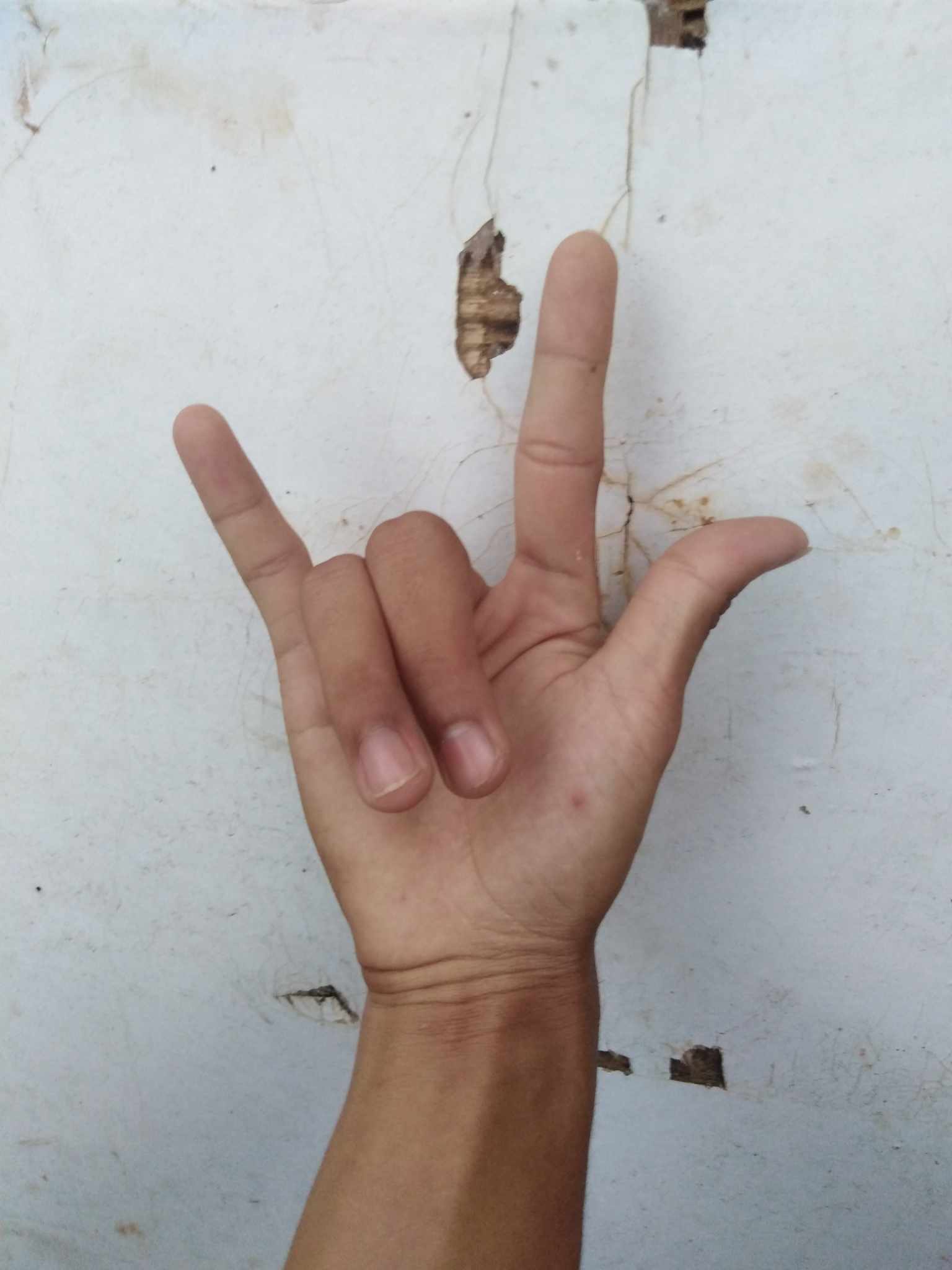 hnad gesture Classification Dataset by christian