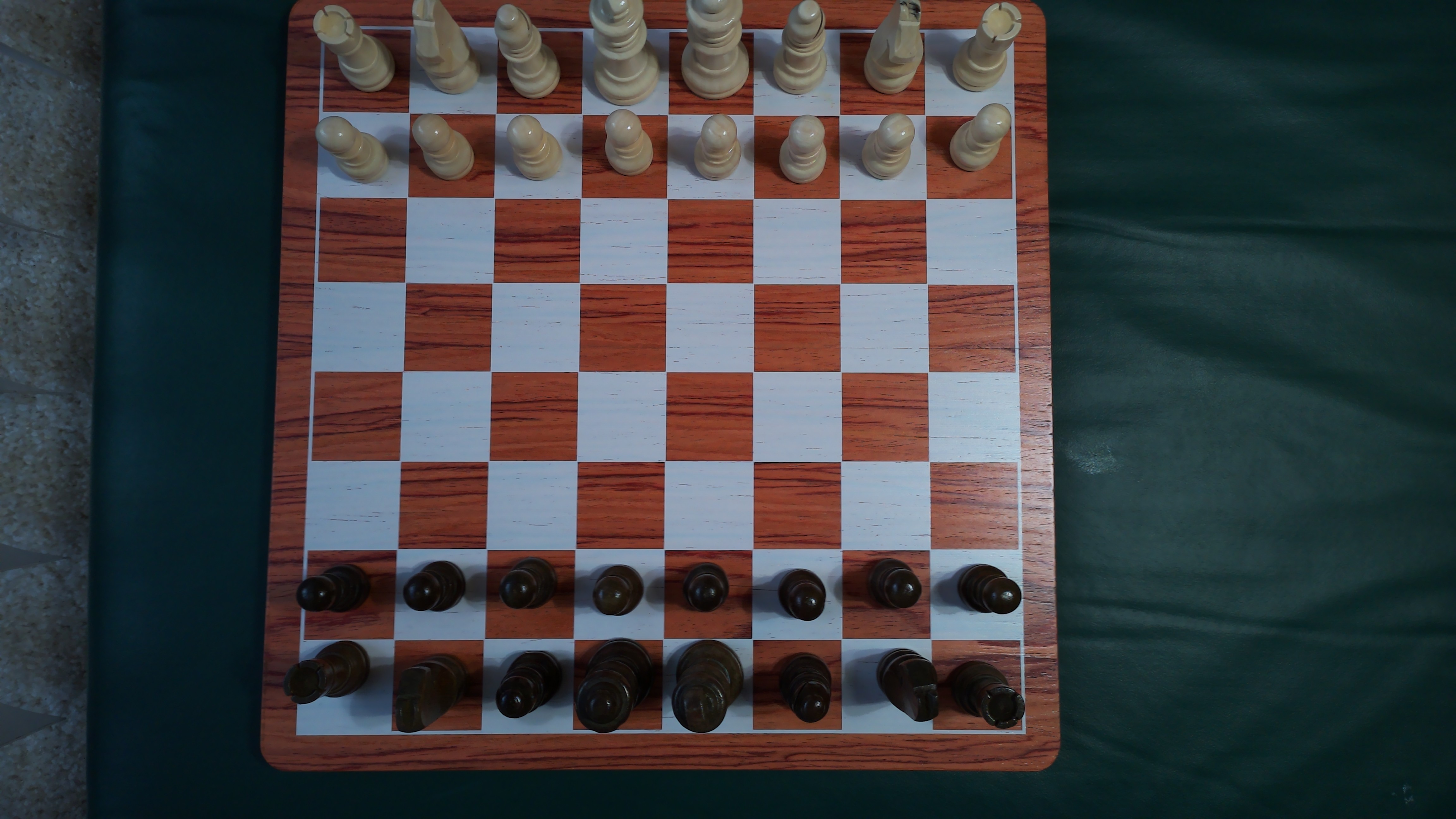 8x8 Segments Instance Segmentation Dataset by caok7