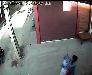 Snatching Object Detection Dataset by hellp