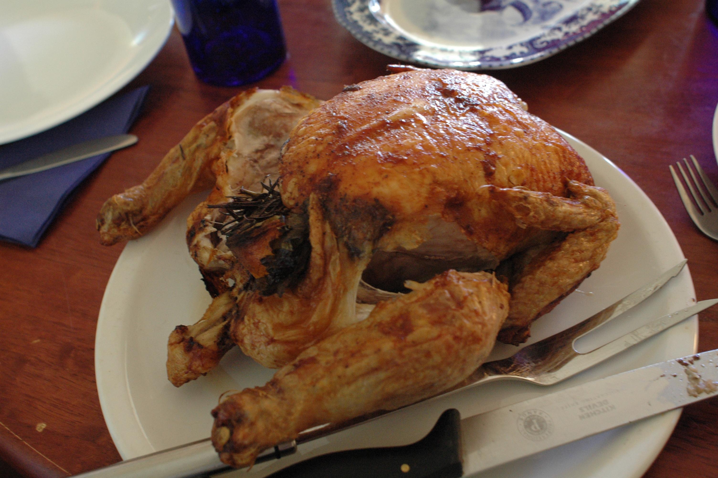 Chicken Object Detection Dataset By Practicas