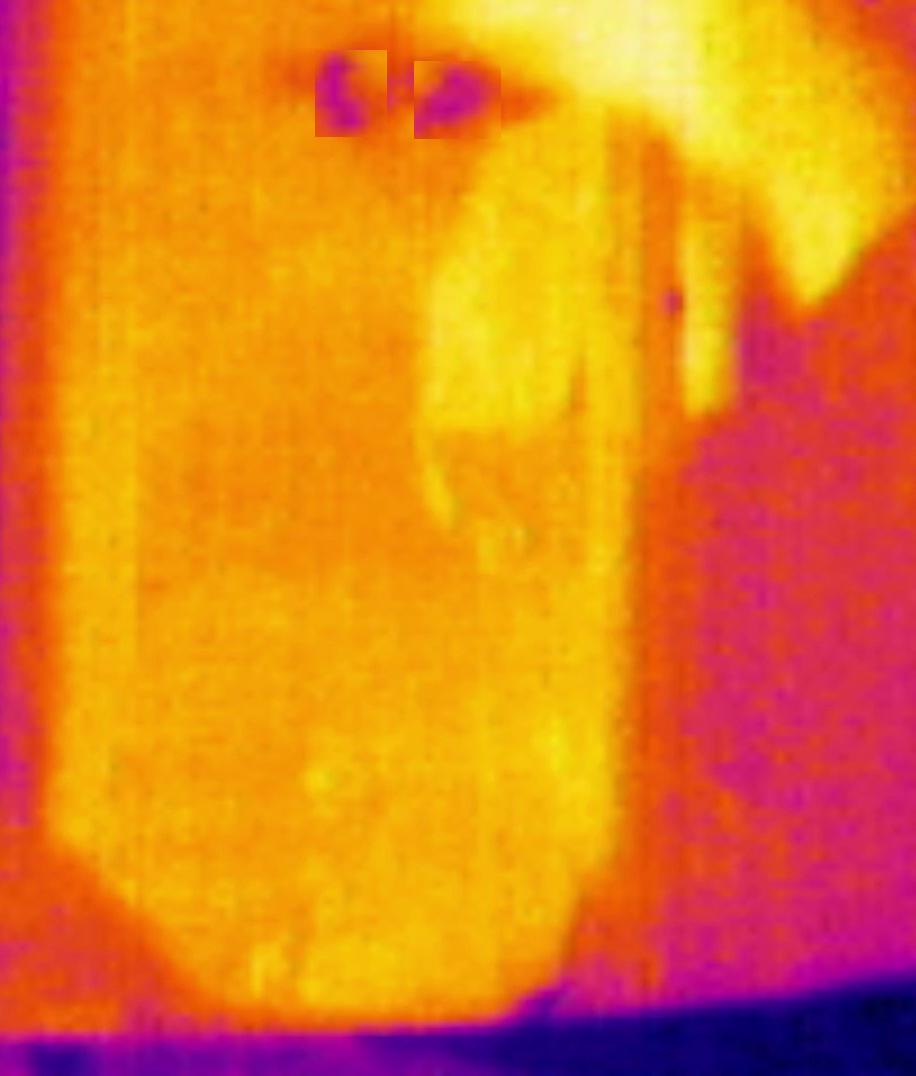 spot detector Object Detection Dataset by DriverlessCar
