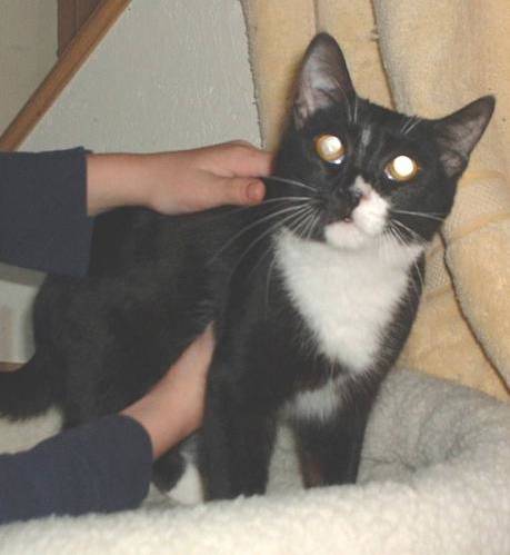 Deeep Learning (deeep-learning-bkrag) - Roboflow Universe