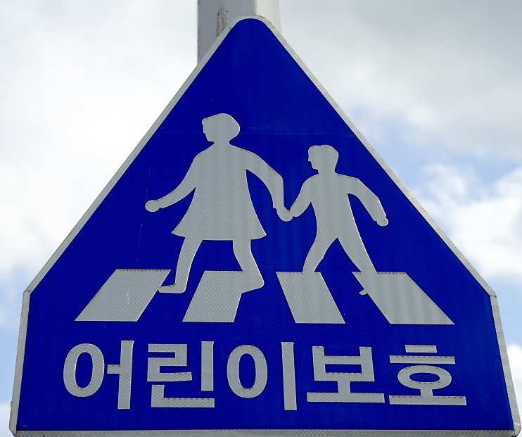 test Object Detection Model by jj