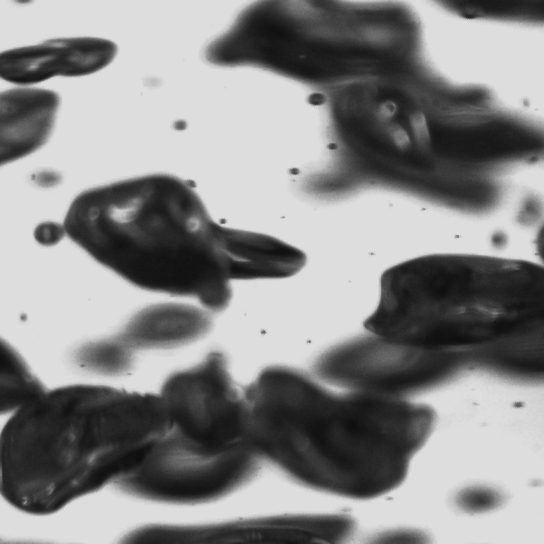 How to Use the Project 2 Instance Segmentation API