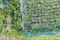 KMUTT (kmutt-zzmwb) - Roboflow Universe