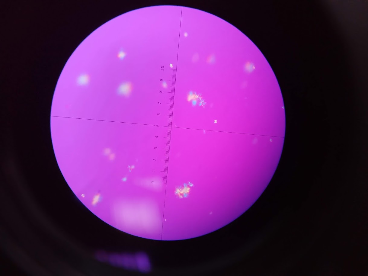 Grumos_IS Instance Segmentation Dataset and Pre-Trained Model by Chamilo BI