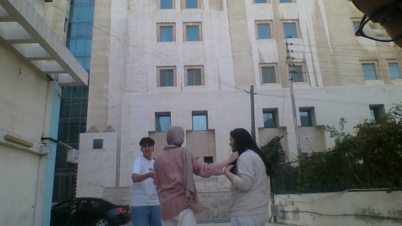 How to Use the online dataset 1 + fight copy Object Detection API