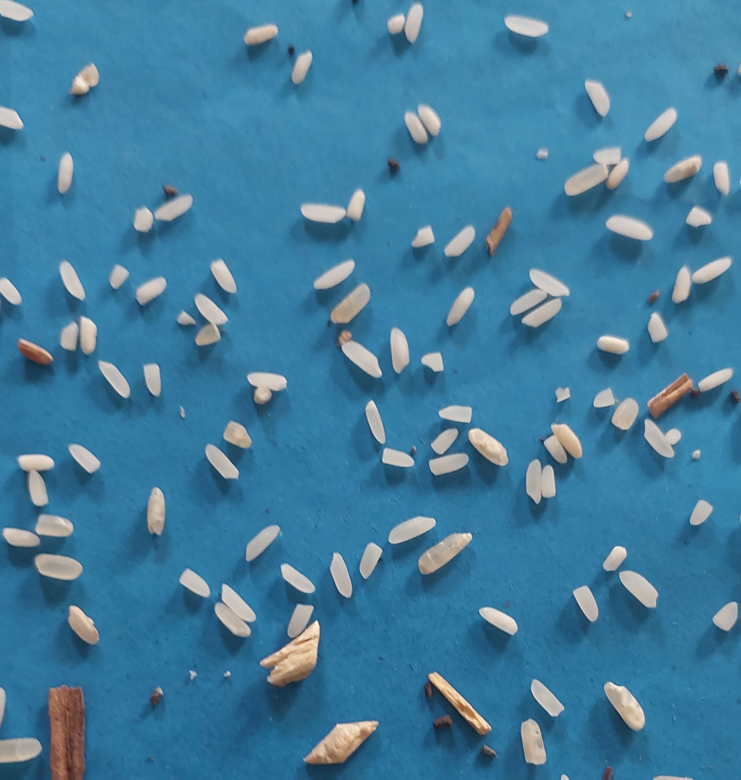 Rice Folder 7 (Veeresh) Object Detection Dataset by x