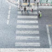 Crosswalk detection Object Detection Dataset and Pre-Trained Model by ATUL DUBEY