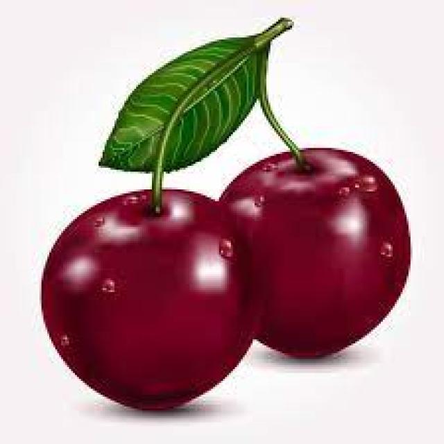 fruits-segmentationApp Instance Segmentation Model by workplace