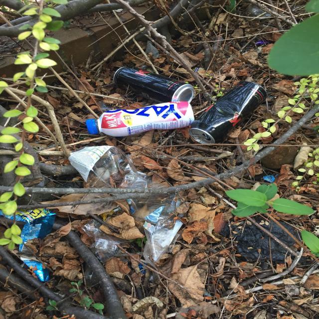 pap Object Detection Dataset by Fwx