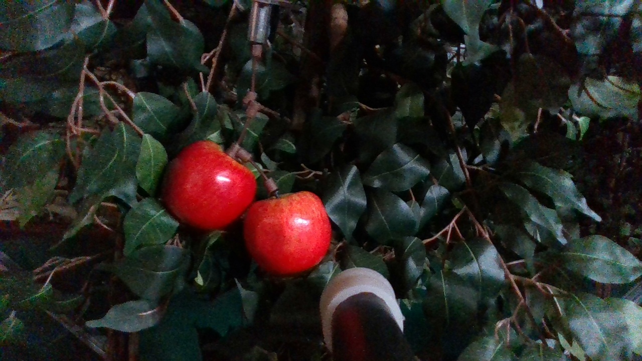 sdfsdf Object Detection Dataset by new-workspace-myaaz