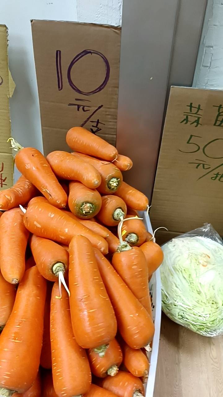 circle a group1 Object Detection Dataset by don