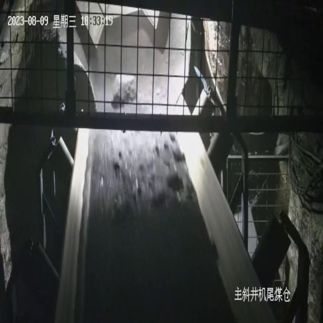 Belt Detection Object Detection Model By Belt