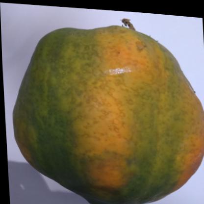 Papaya Object Detection Dataset by Wisarut Kitticharoenphonngam