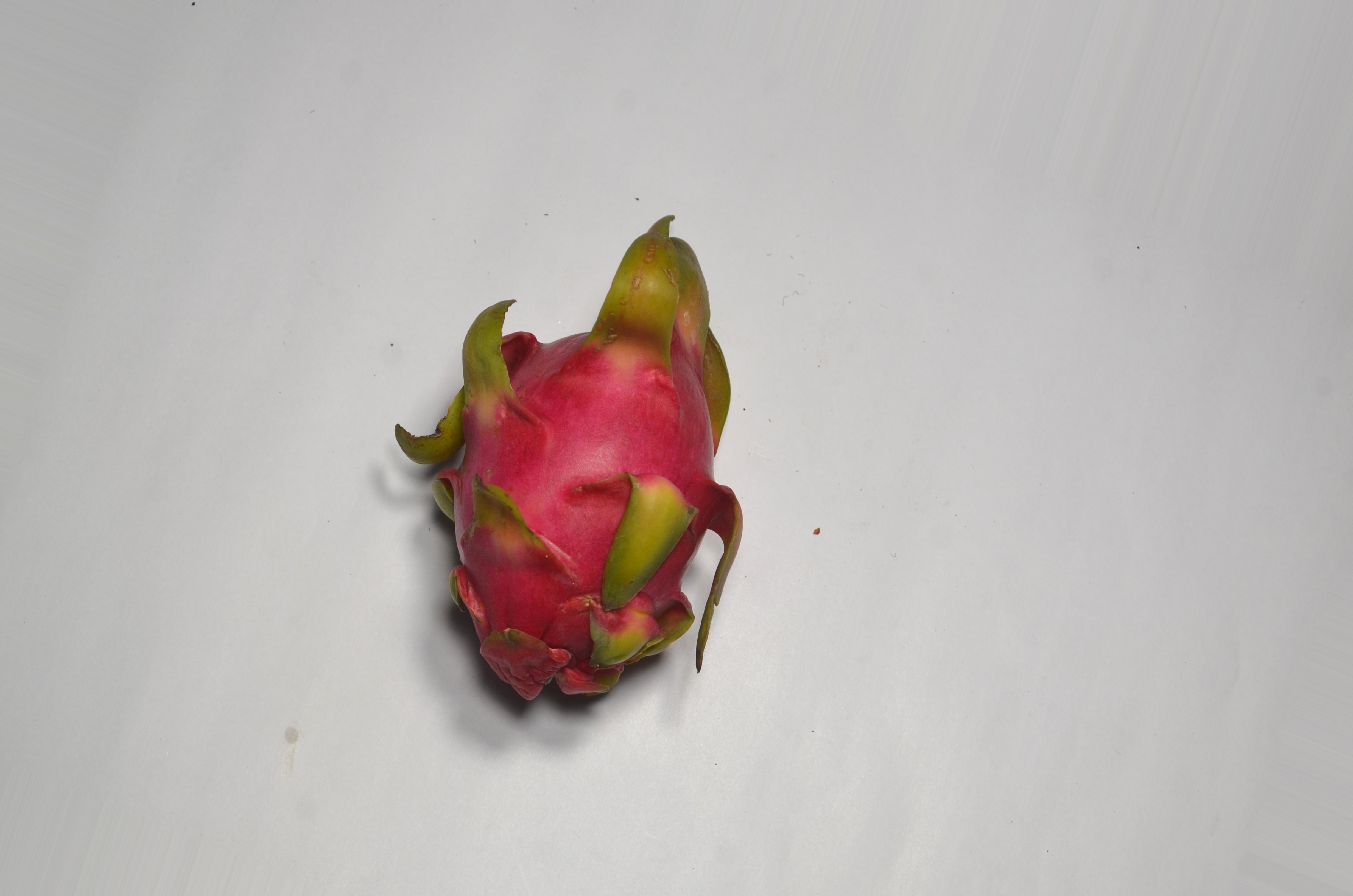 Fruits_segmentation Instance Segmentation Model by Kavitha