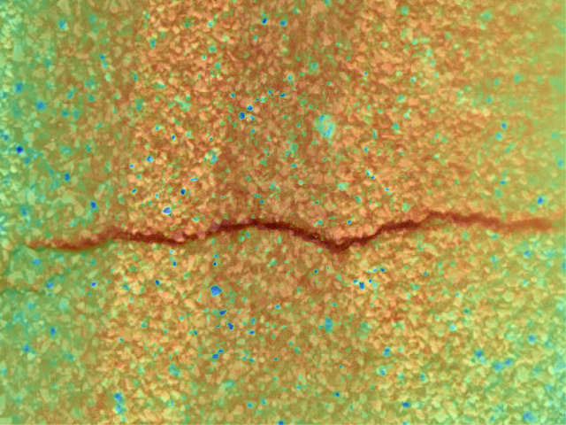 thermal-det2 Instance Segmentation Model by jntu