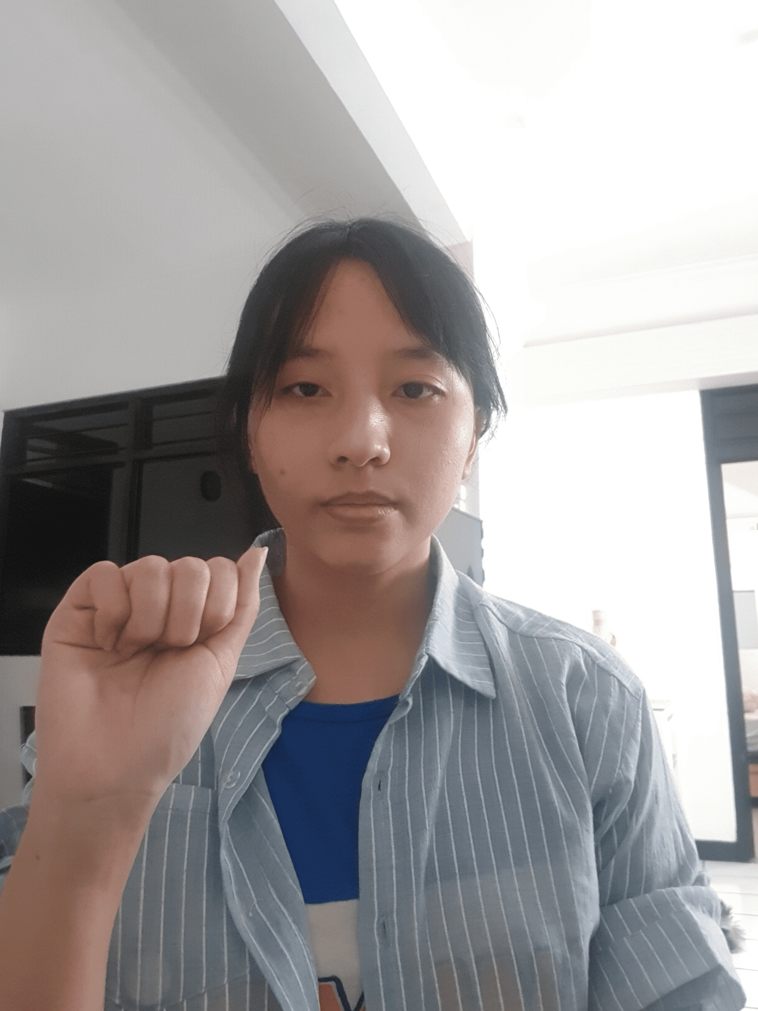 Sherryl Sugiono Sindarto - Roboflow Universe