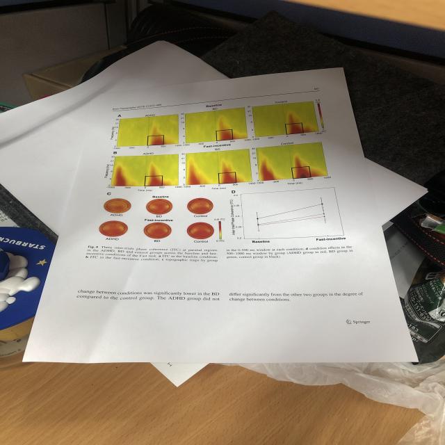 Label_tay Instance Segmentation Dataset by dossiers