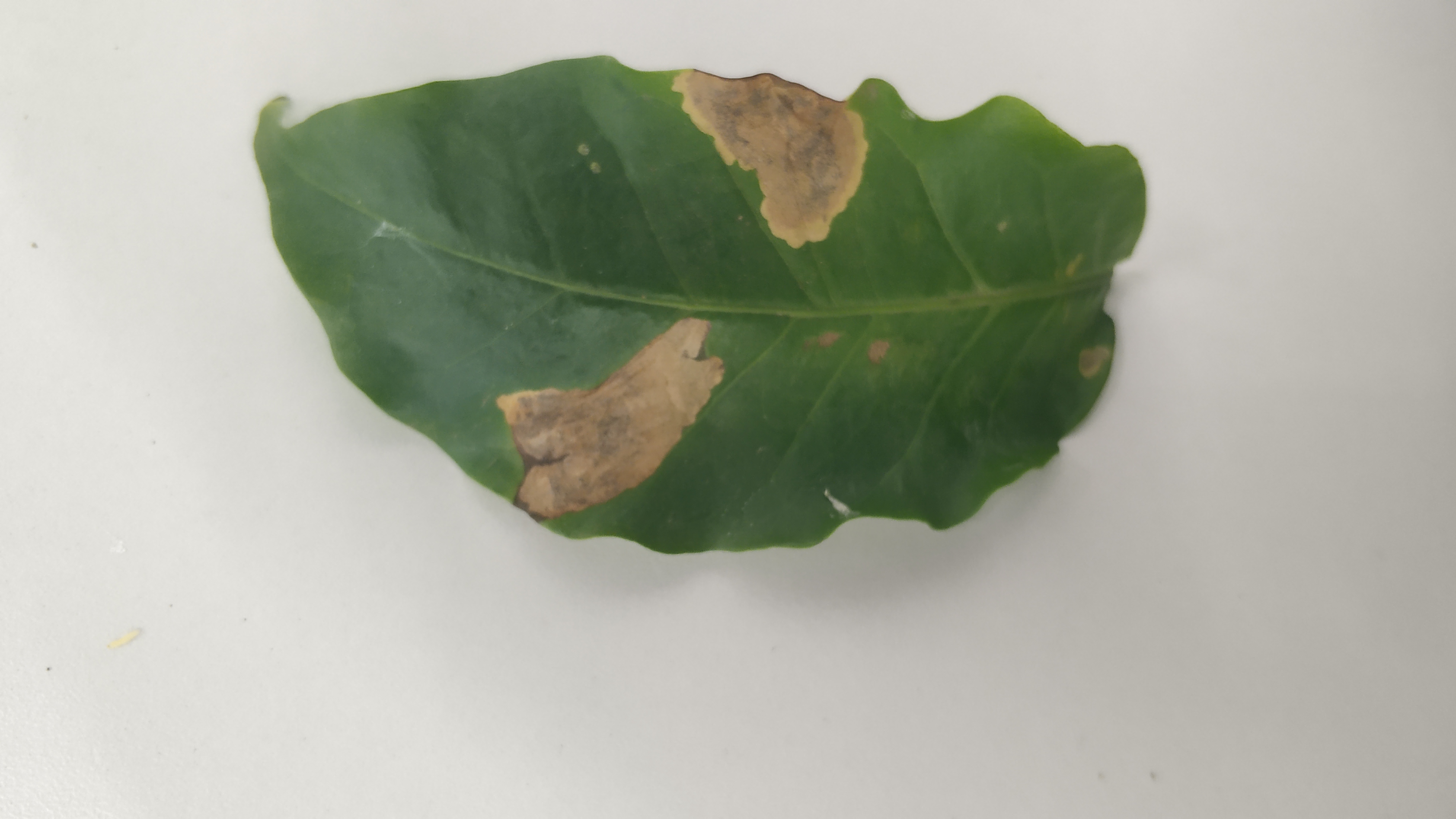 Computer vision (computer-vision-ddp09) - Roboflow Universe