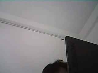 Koala detection Object Detection Dataset and Pre-Trained Model by FiredetectionIOT