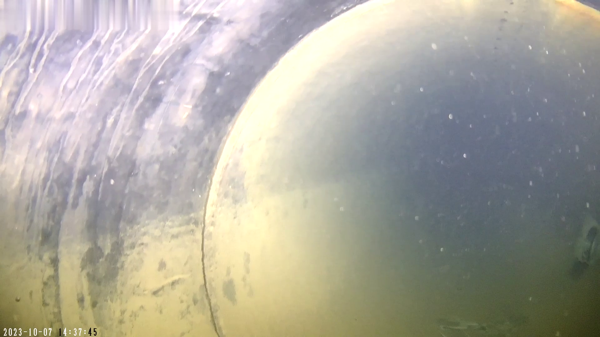 txt practice Object Detection Dataset by Gachon University