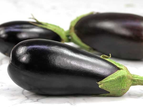 Egg Instance Segmentation Dataset by ELTE