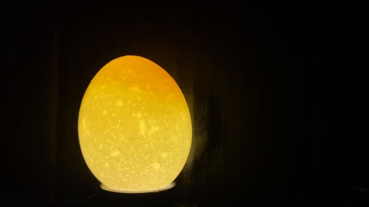egg detection Object Detection Dataset by eggs