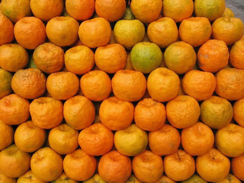 Oranges Classification Object Detection Dataset by Oranges