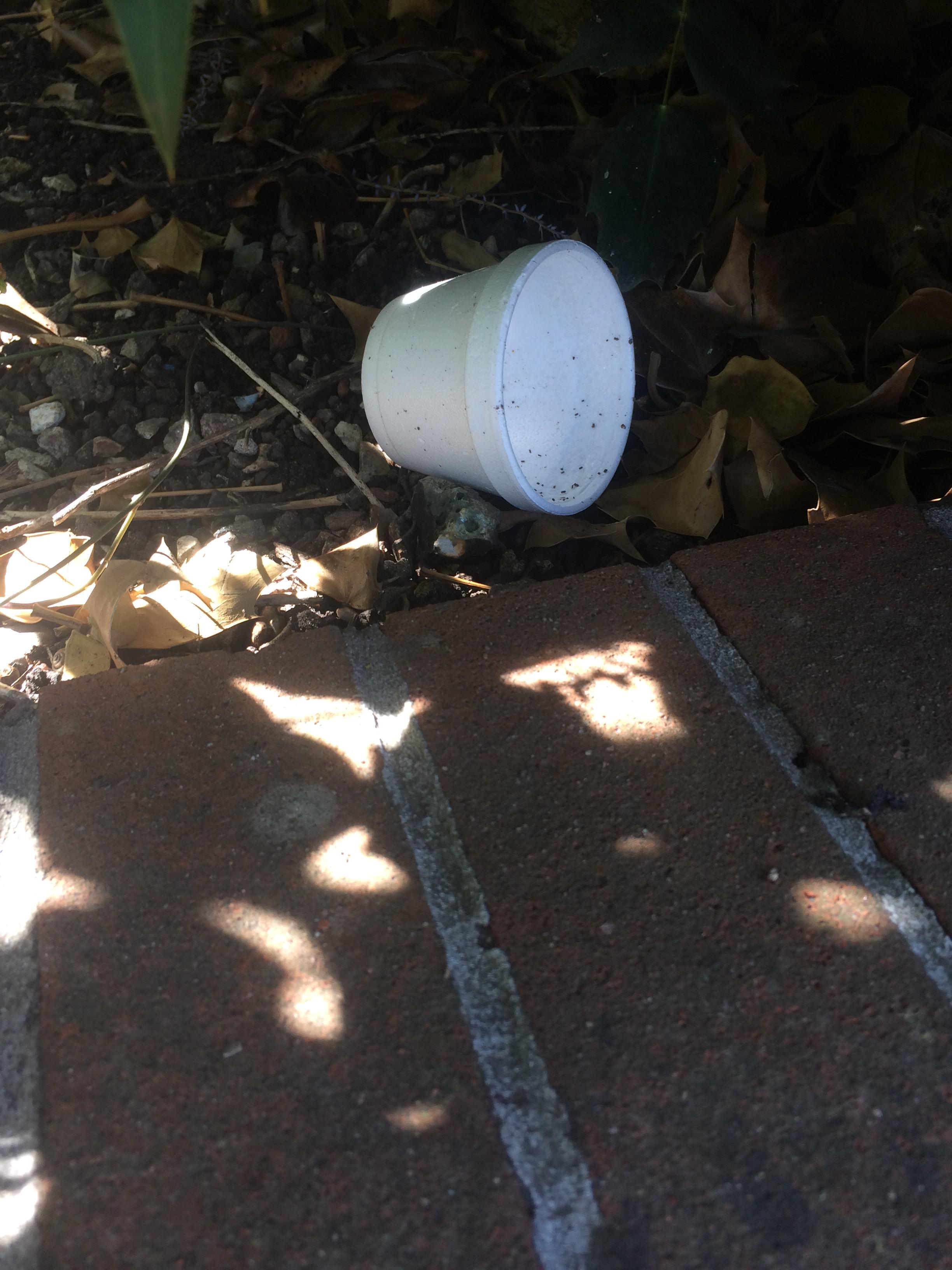 Vipare-RoboUni-ObjectDetect Object Detection Dataset by NAIA Science