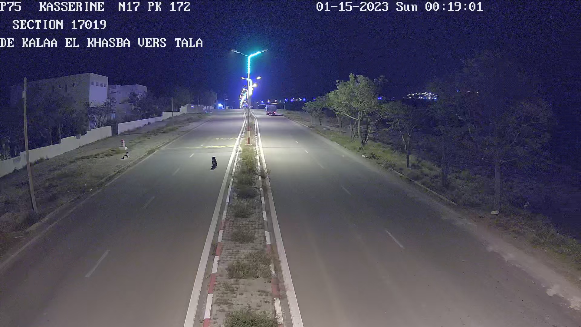 street-circulation-v2-model Object Detection Dataset by FrameLabel