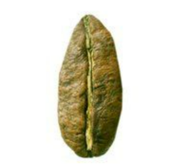 Coffee Bean Type High Object Detection Model V2 2024 06 14 2 50pm By