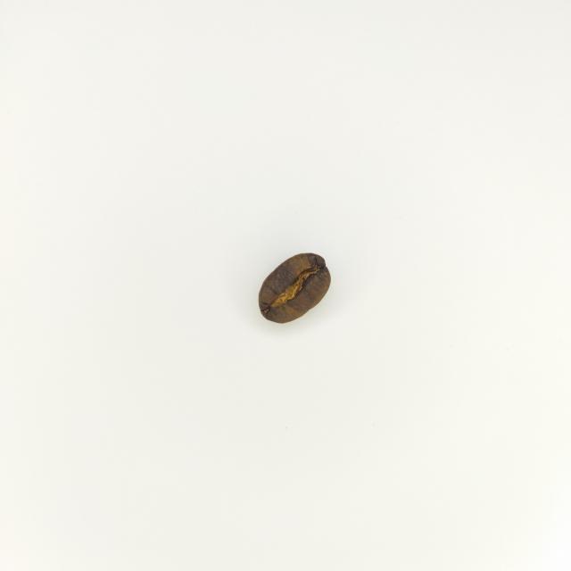 Coffee-Bean-Type Object Detection Dataset by JAYA ISKANDAR