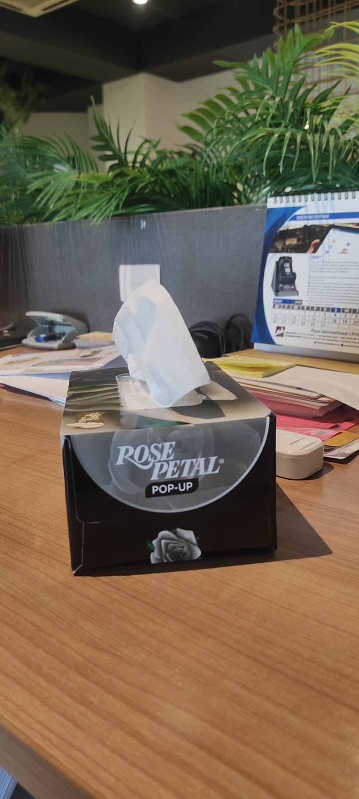 tissue box Instance Segmentation Dataset by Uzair