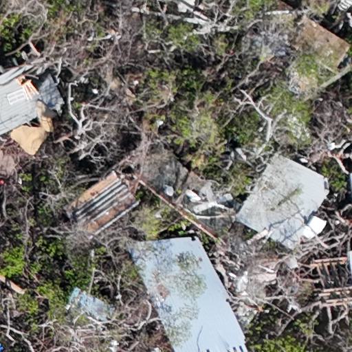 gdeb_s Instance Segmentation Model by iihs