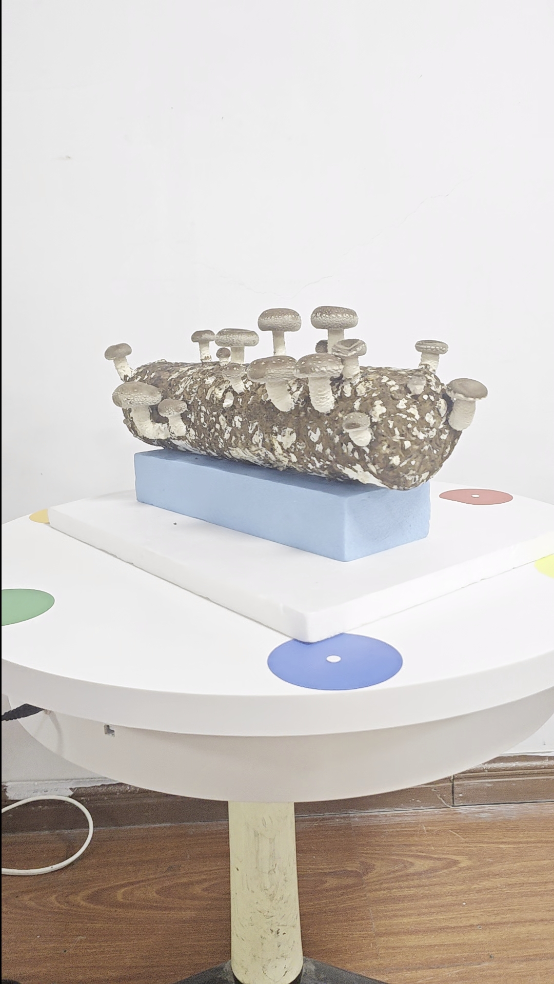 Mushroom Instance Segmentation Dataset By Mushroom