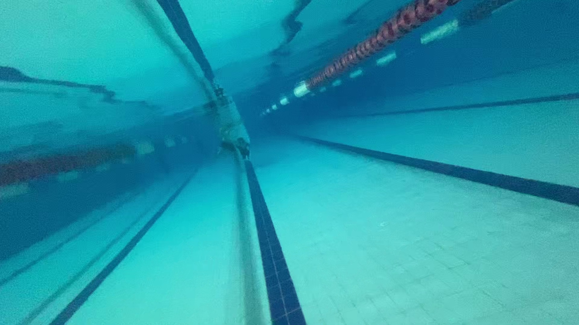 UNDERWATER Object Detection Dataset and Pre-Trained Model by qwerty