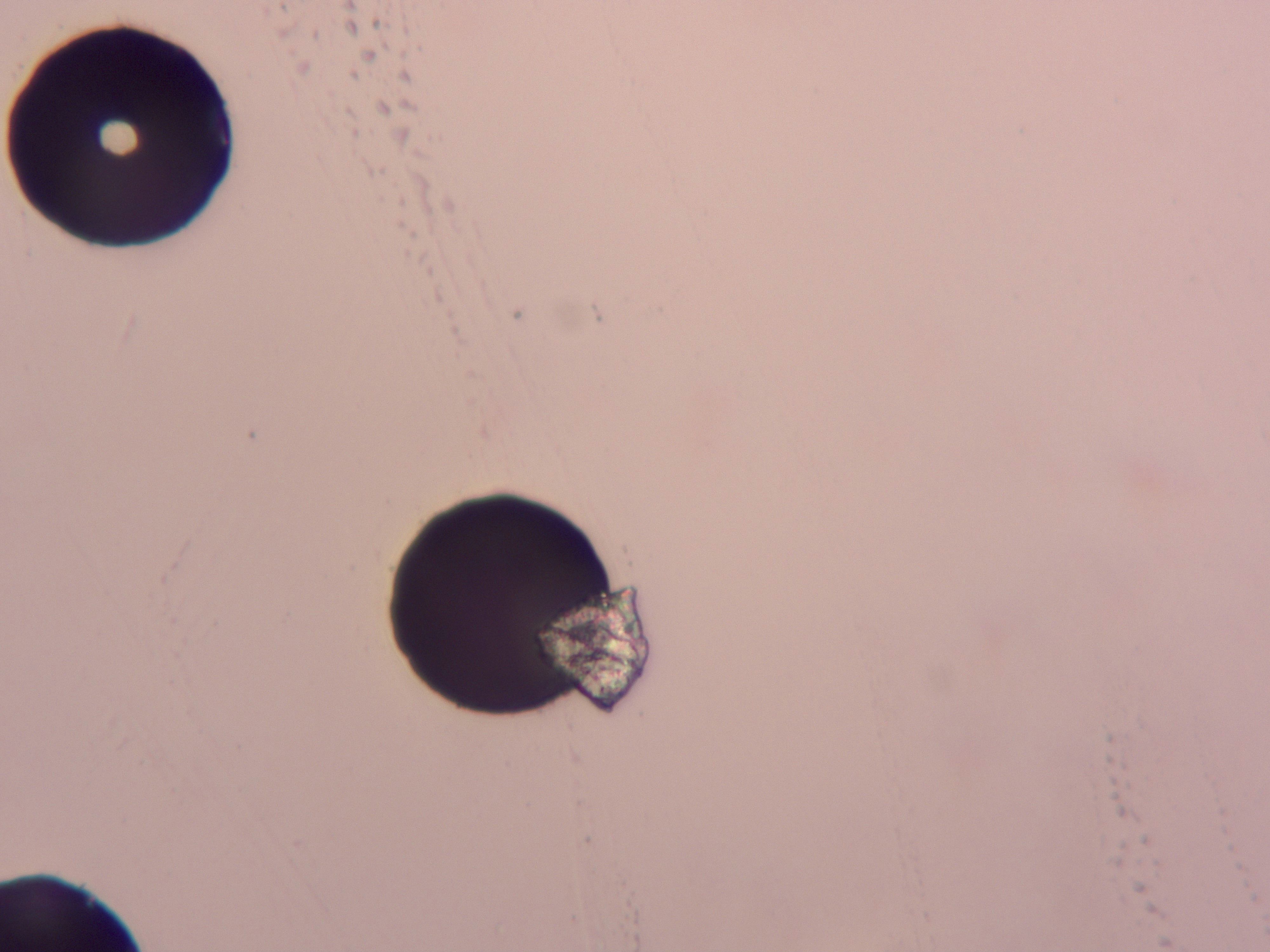 deformed Object Detection Dataset and Pre-Trained Model by TGV