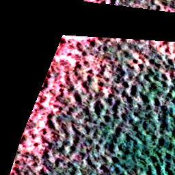 daninhas-class-256-rgb Classification Dataset by CopasCitrus