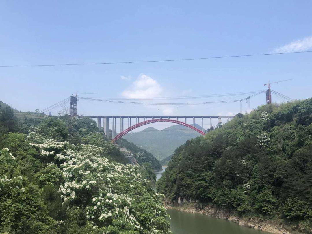 arch_bridge Instance Segmentation Dataset by test