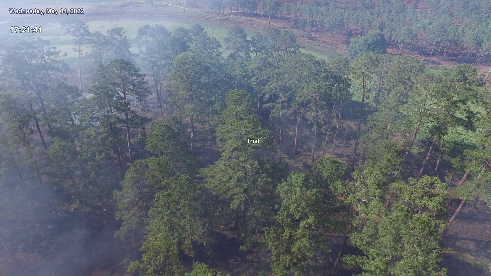 forest&nonforest_rcnn Instance Segmentation Model by shuvo