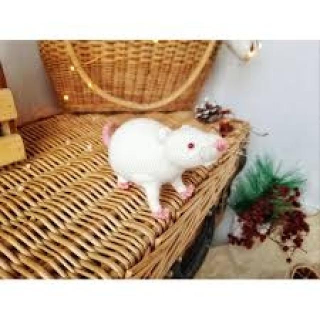 Mouse Object Detection Dataset By Mice