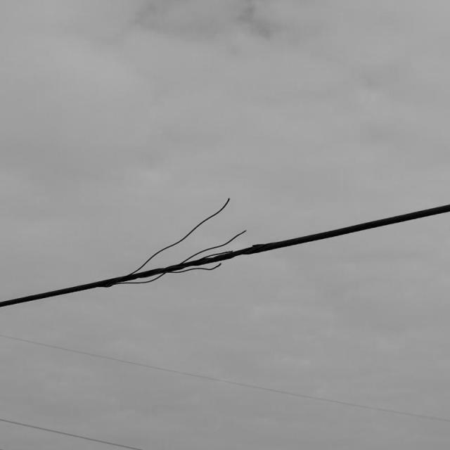 Custom Workflow Instance Segmentation Instance Segmentation Dataset by aliii