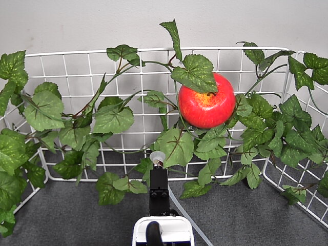 ringoR Object Detection Dataset by yoshilab