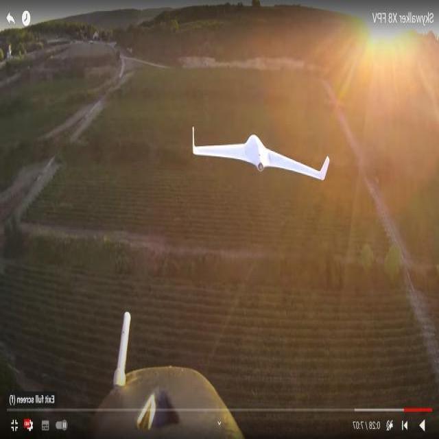 Drone detective Object Detection Dataset by SoLar