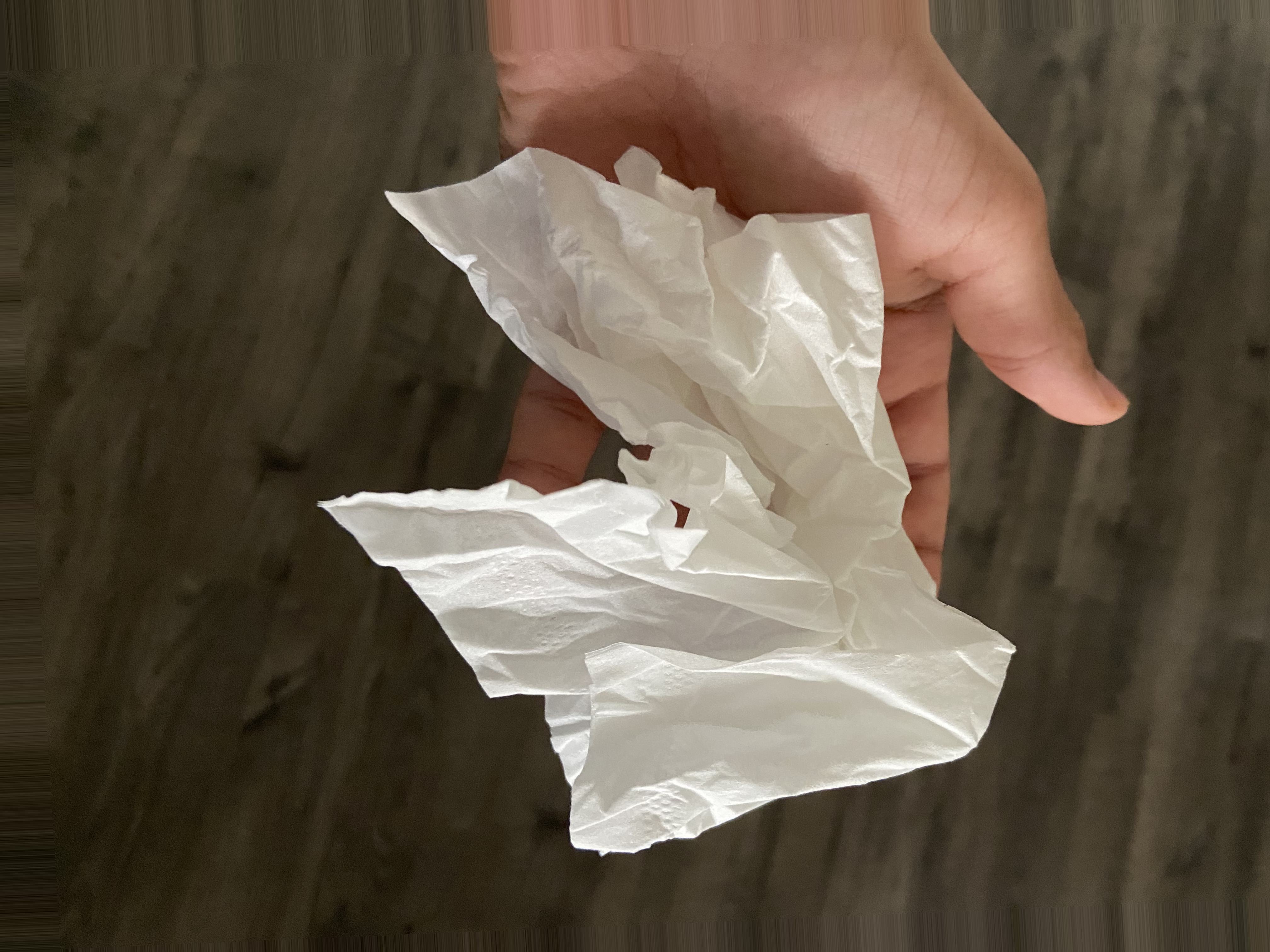 waste_segrication Classification Dataset and Pre-Trained Model by ...