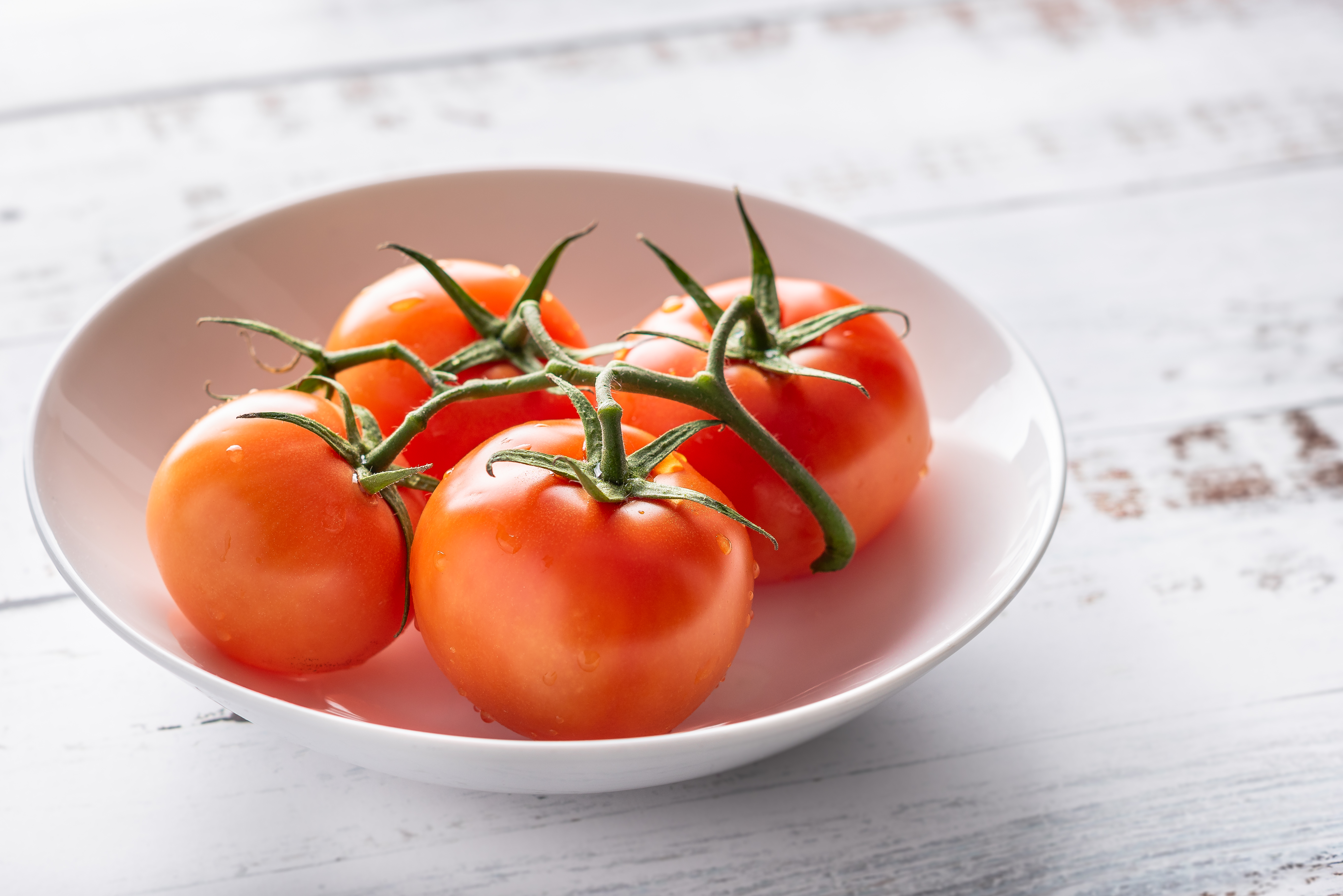Tomato Clasification Classification Dataset by Moniq