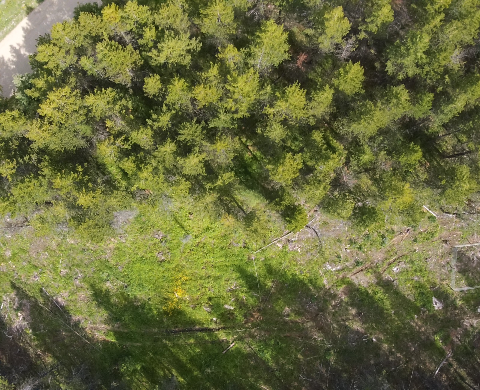 UAV Semantic Segmentation Dataset by Identify