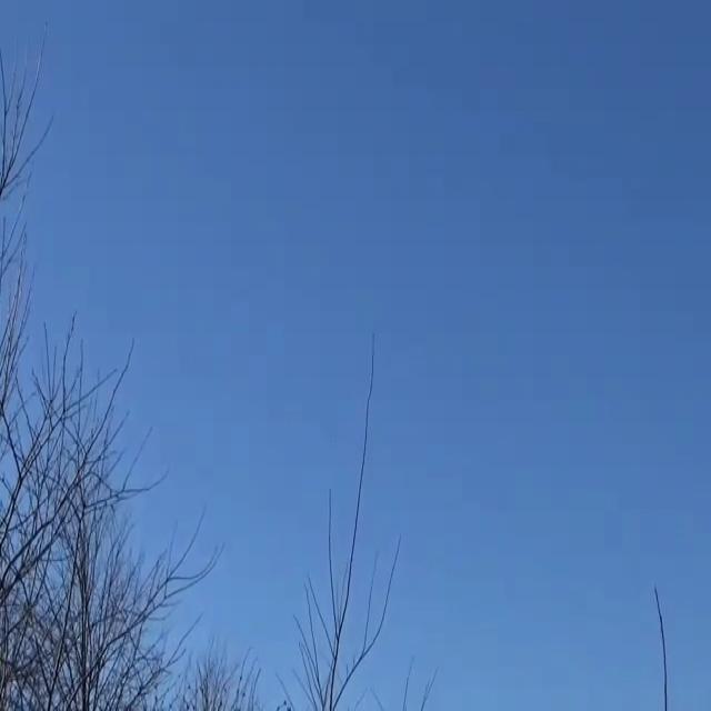 ddd Object Detection Dataset by ttt